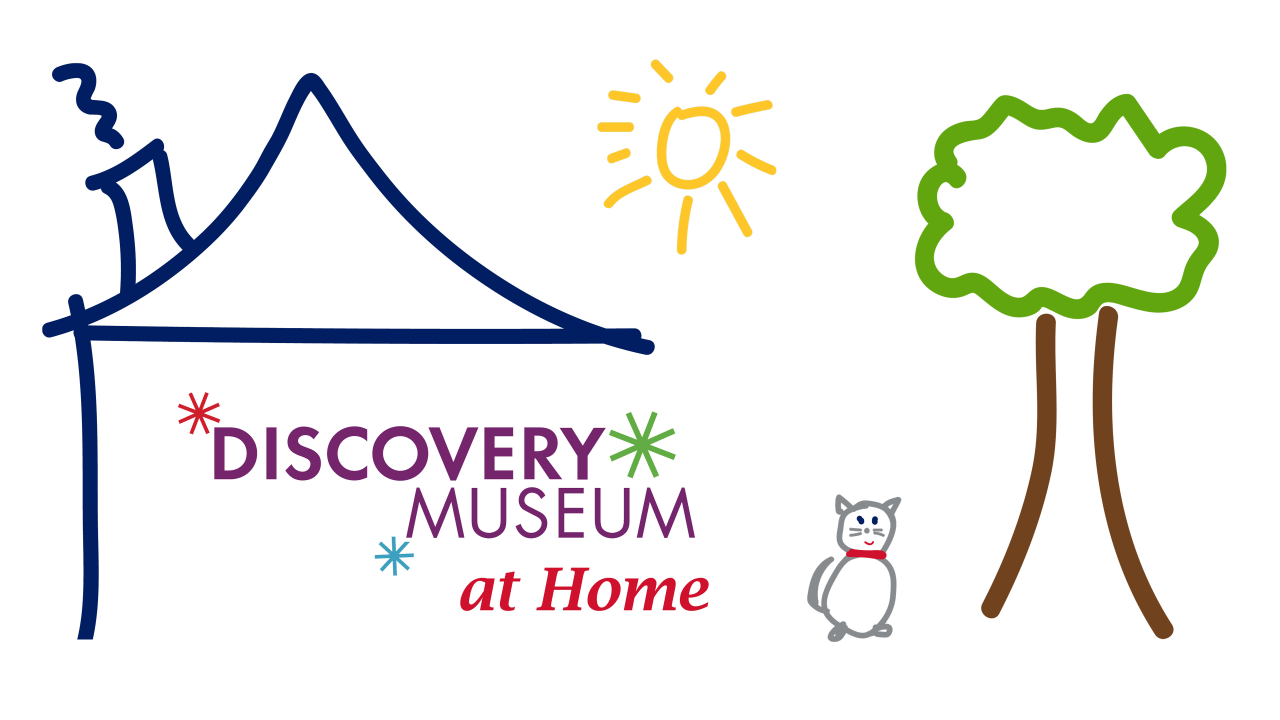 Discovery at Home | Discovery Museum