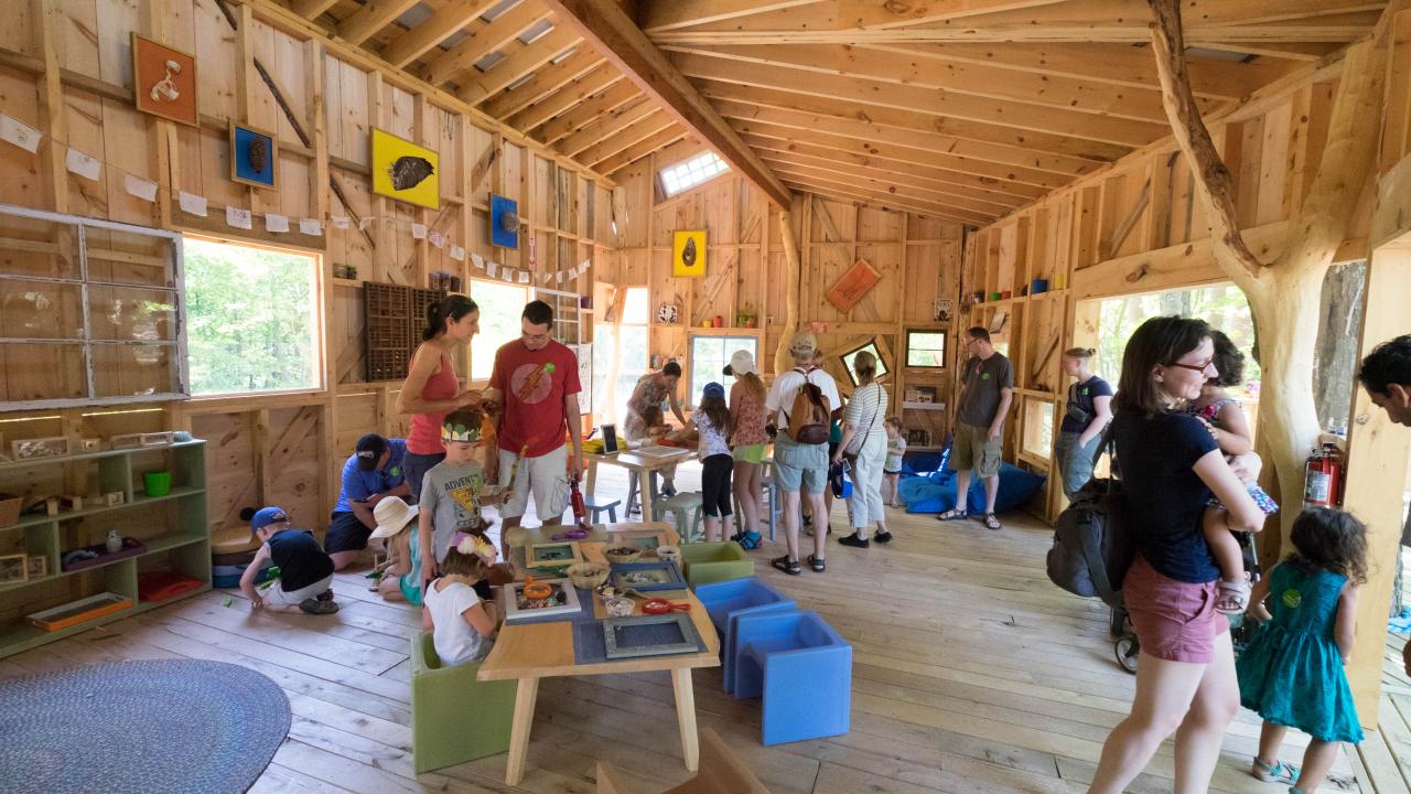 Discovery Treehouse | Discovery Museum