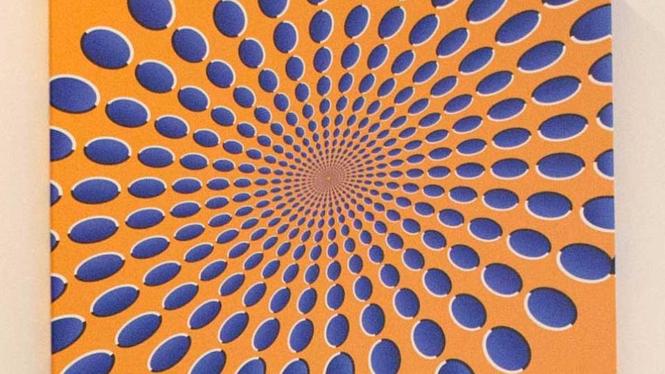 Illusions Wall | Discovery Museum