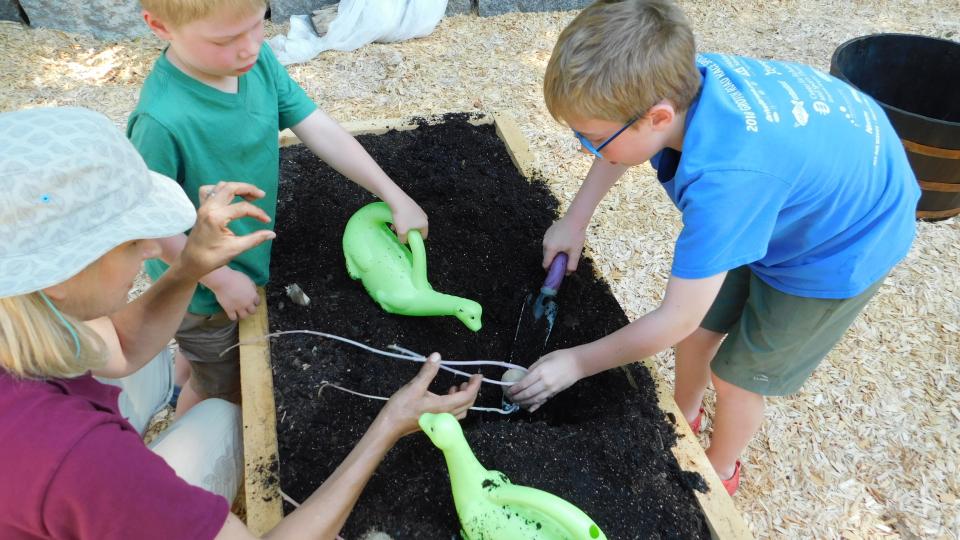 Discovery Woods Nature Playscape | Discovery Museum