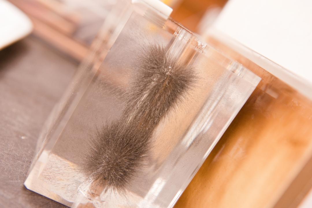 Traveling Science Workshops | Discovery Museum