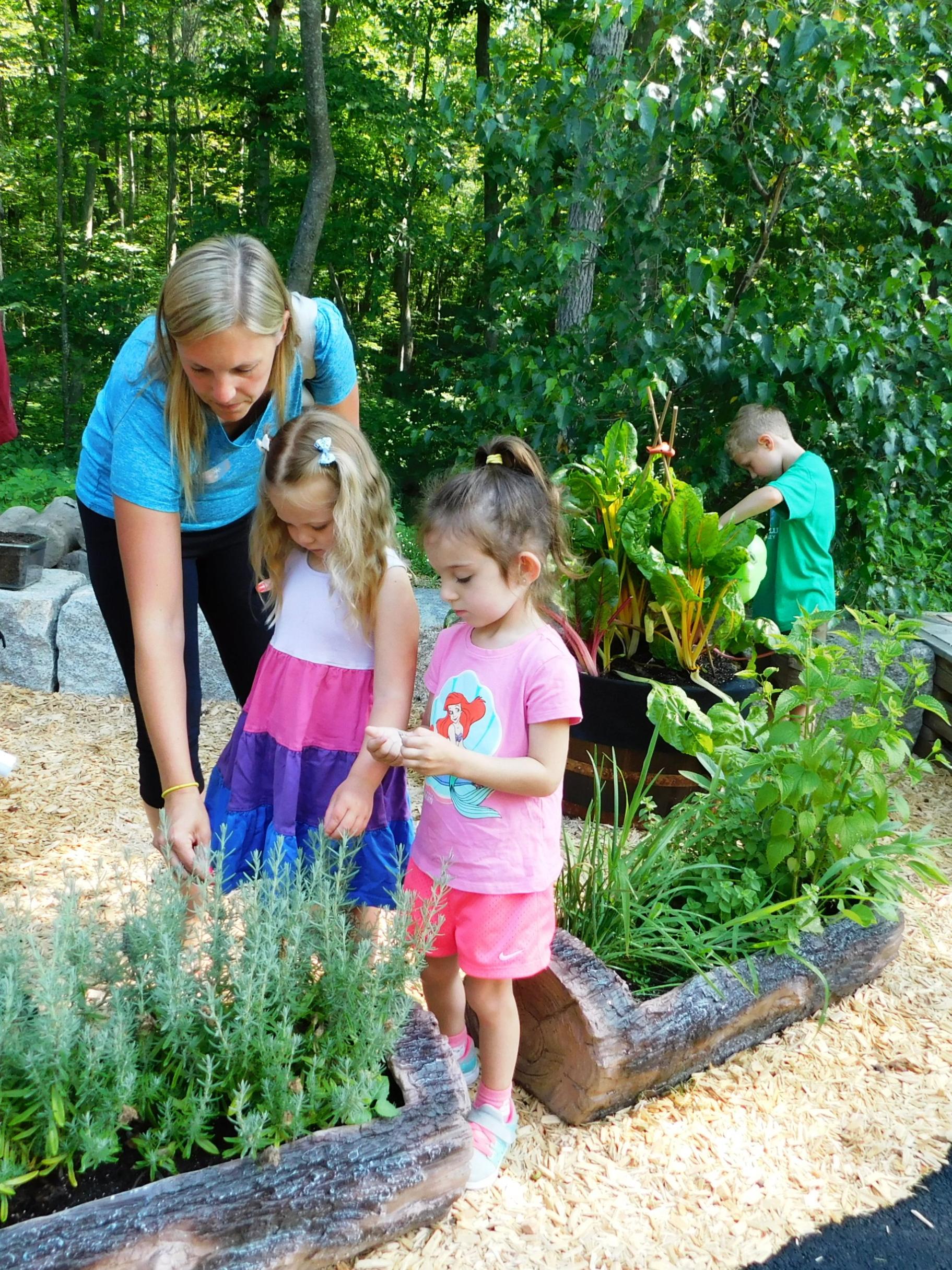 Backyard and Beyond: Working in the Garden | Discovery Museum